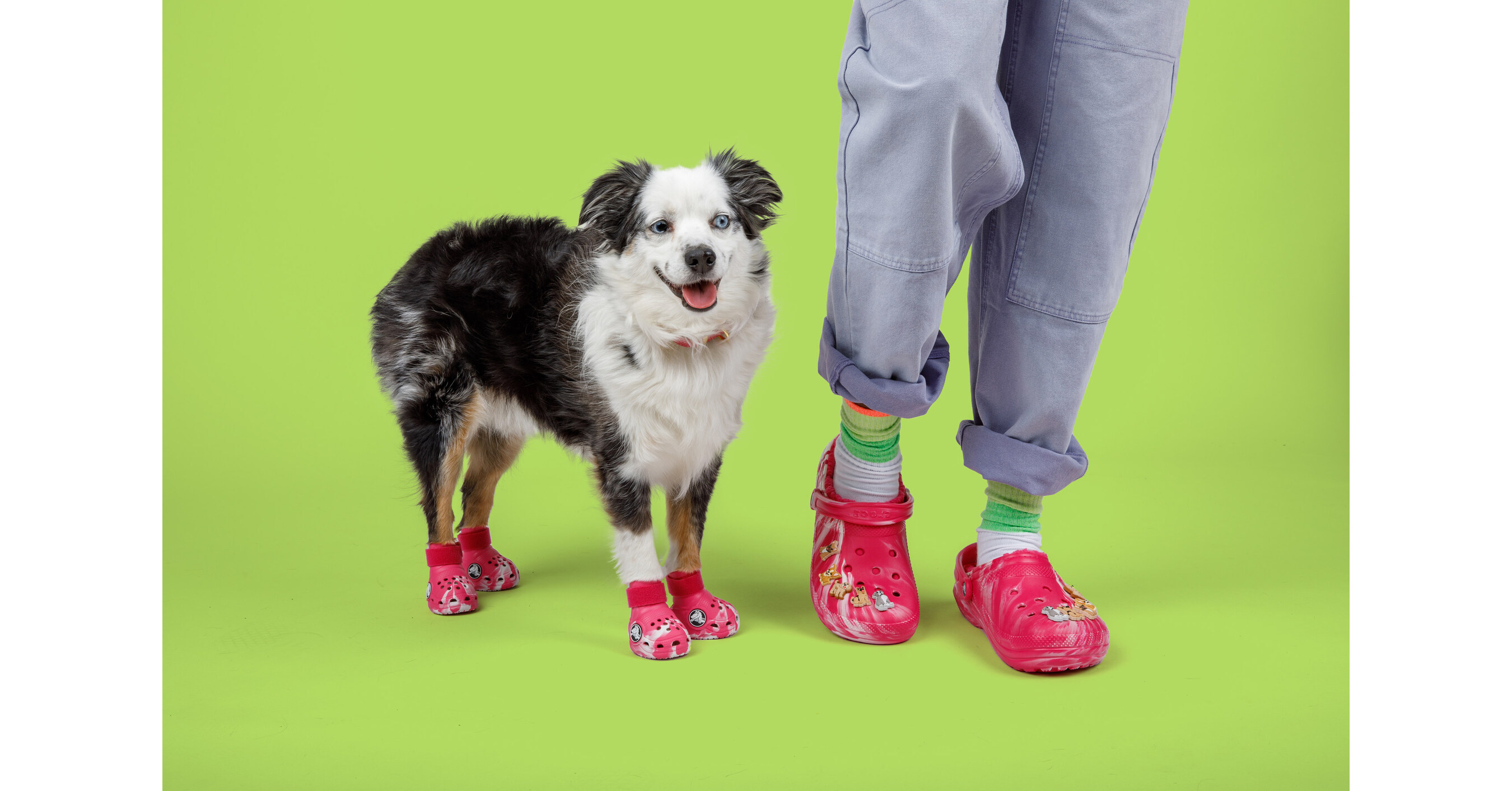 From Pet Crocs to a Life-Sized Crocs Costume, Croctober Makes Fans ...