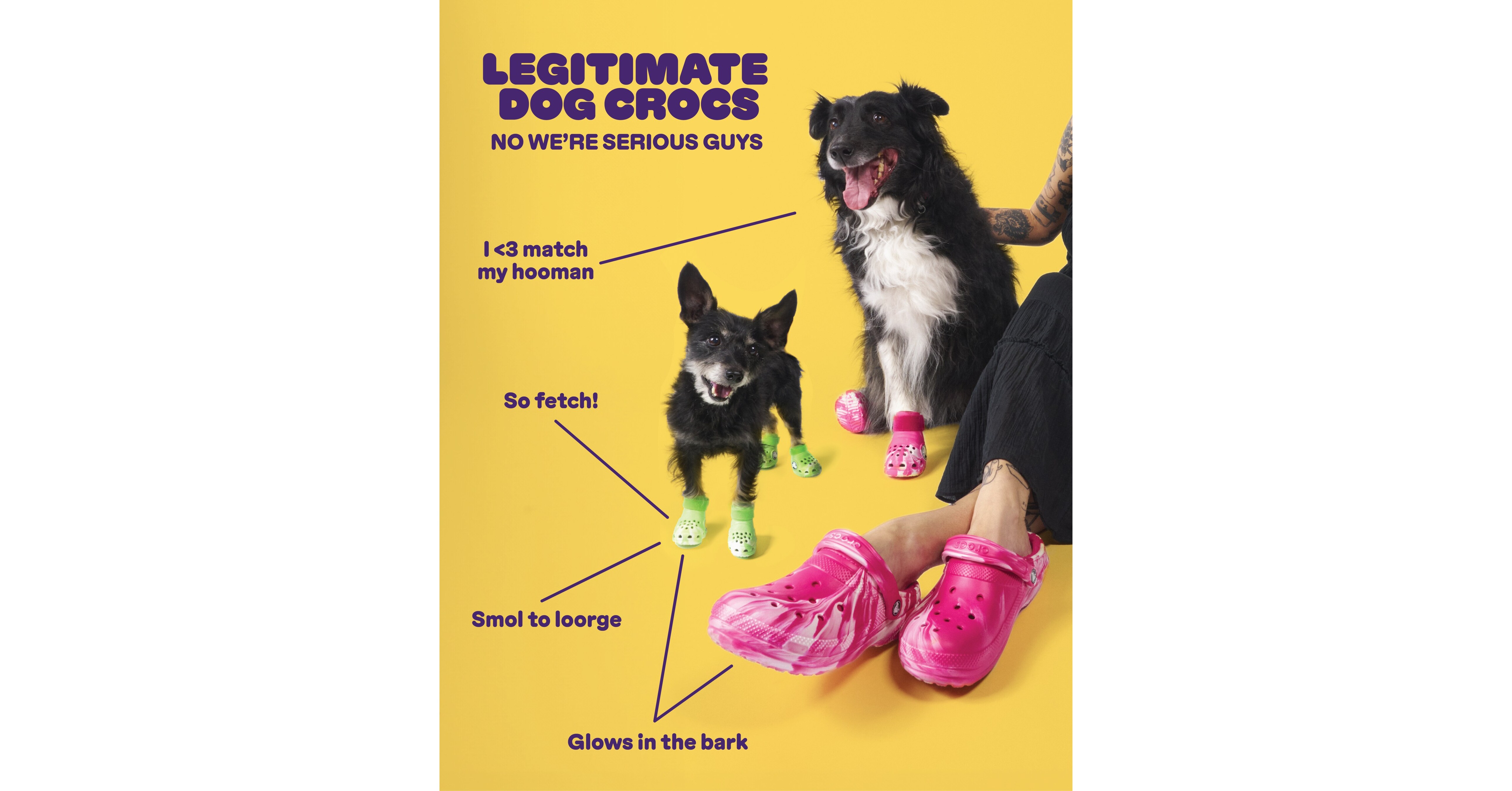 From Pet Crocs to a Life-Sized Crocs Costume, Croctober Makes Fans ...