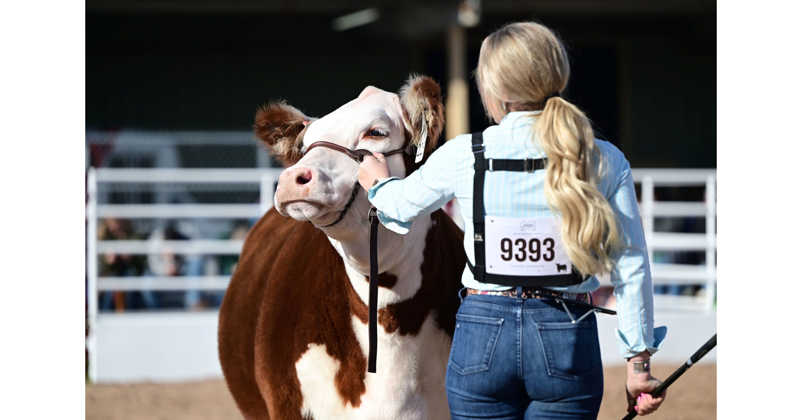 Join Us for the 77th Annual Arizona National Livestock Show - A ...