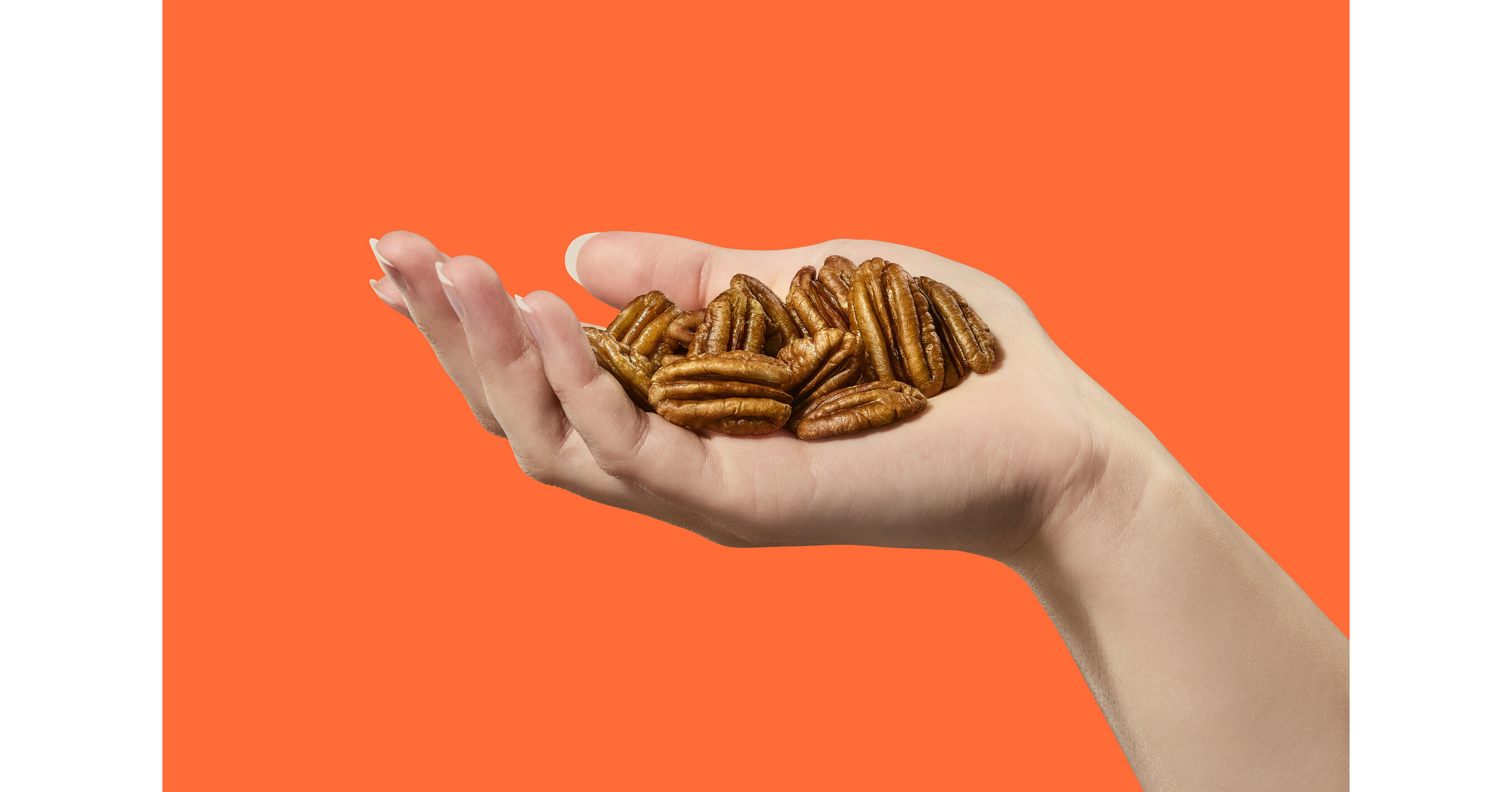 Study Finds Eating Pecans May Blunt Negative Effects of Meals High in ...