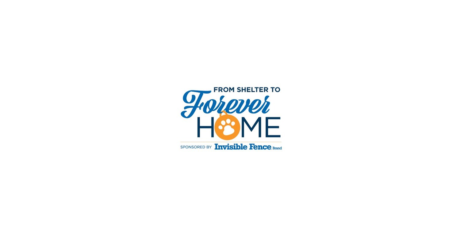 Invisible Fence® Brand Announces Winners of From Shelter to Forever ...