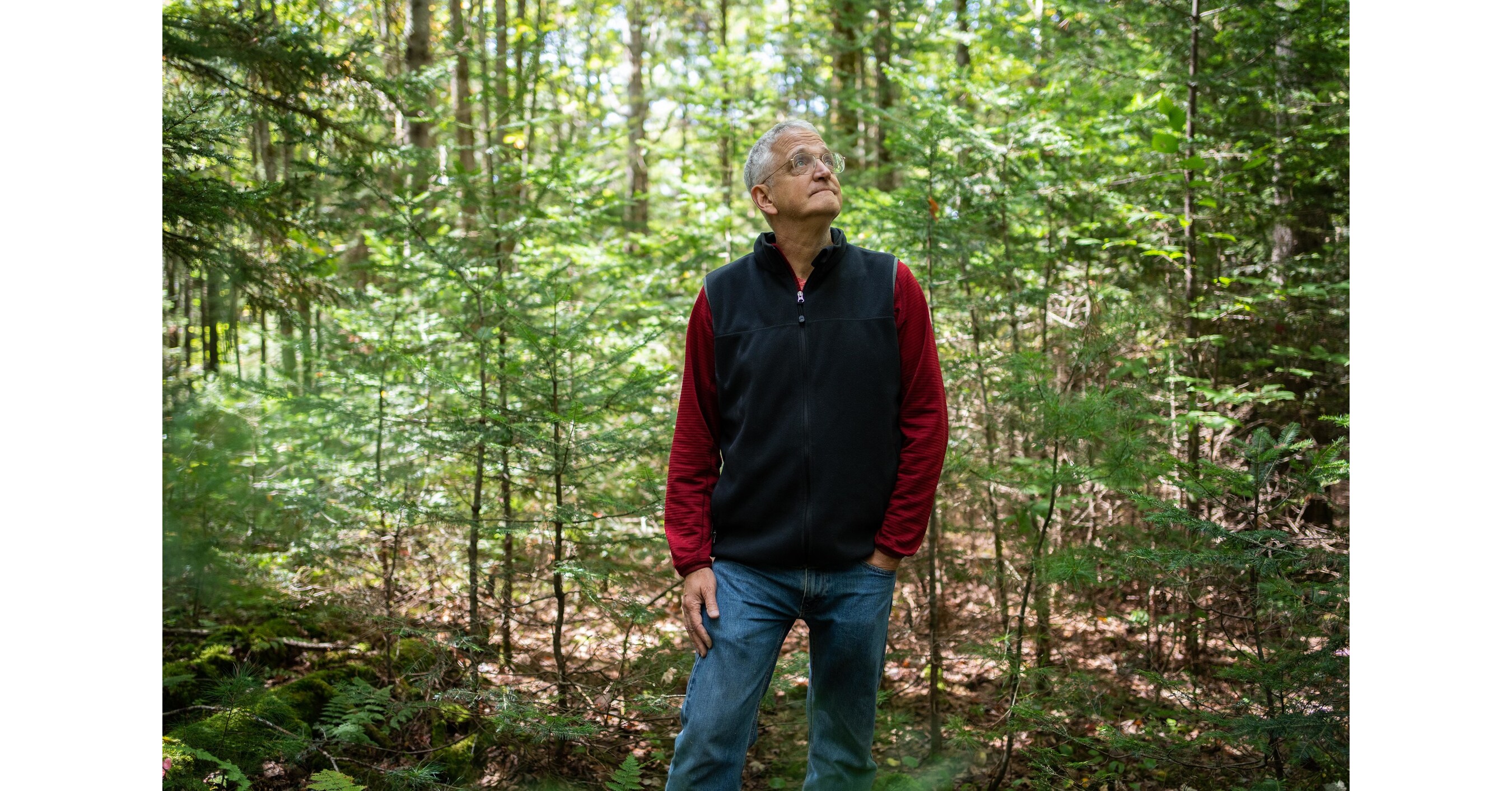 American Forest Foundation to Launch First U.S. Nature-Based Carbon ...