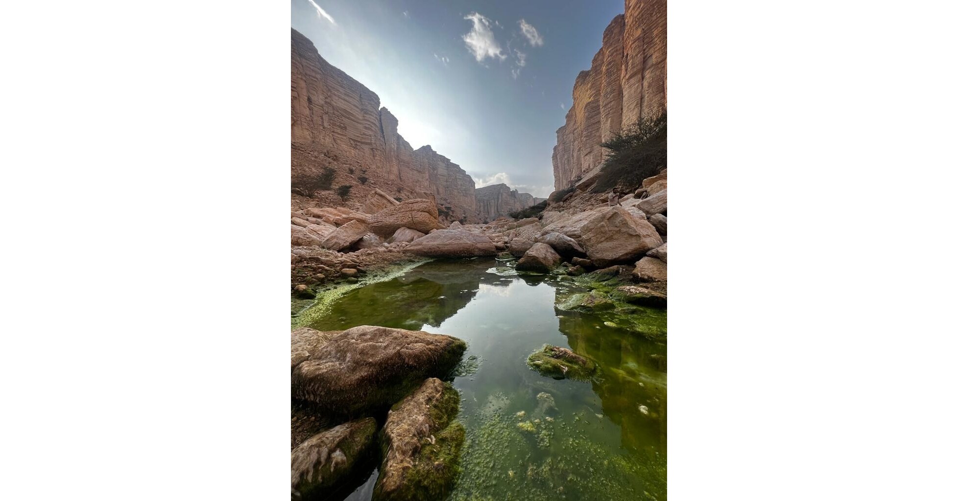 First Saudi Protected Area Listed on IUCN Green List