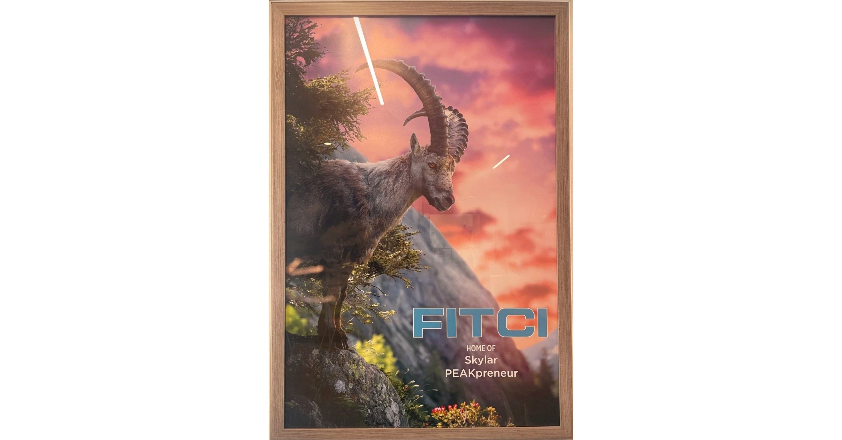 Skylar Peakpreneur von FITCI Birth Announcement, Born May 16th, 2024