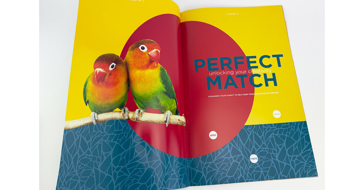 The Standard Group Elevates Printing Services with the New Fuji J Press 750