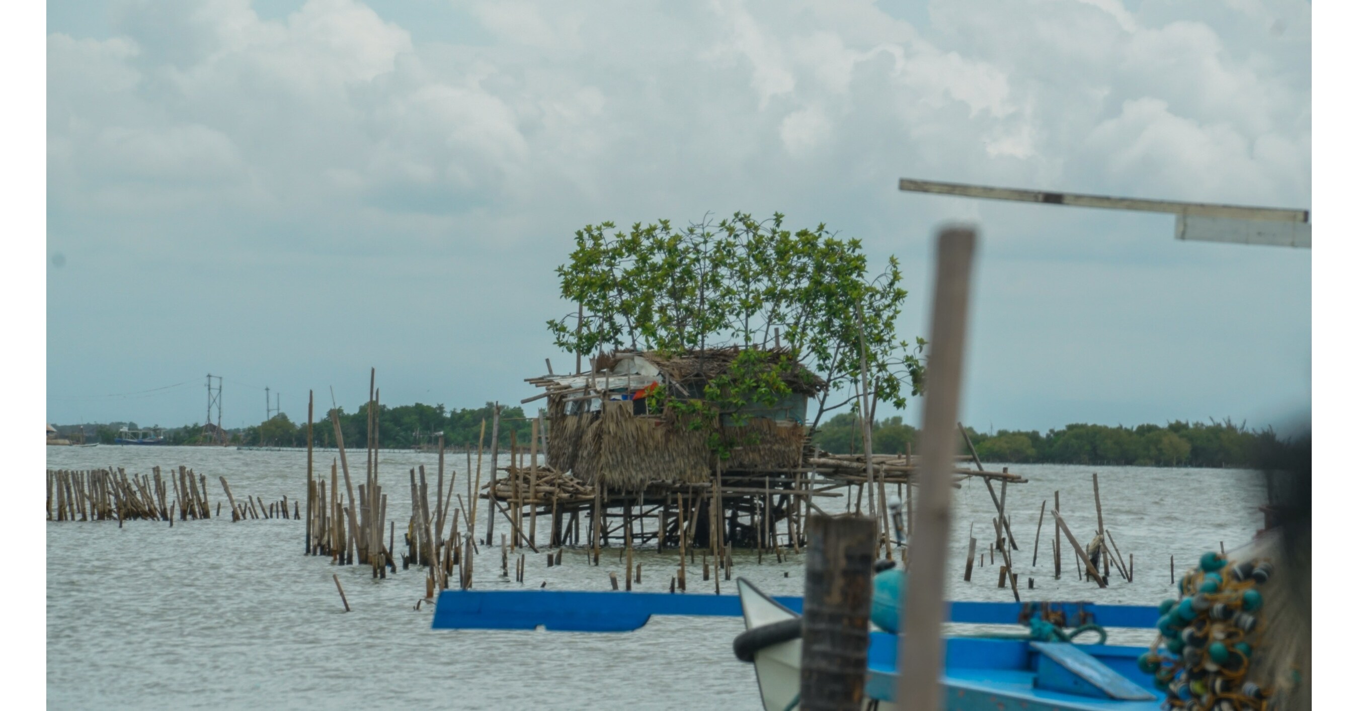 H&M Foundation - Tackling urgent challenges with anticipatory funding
