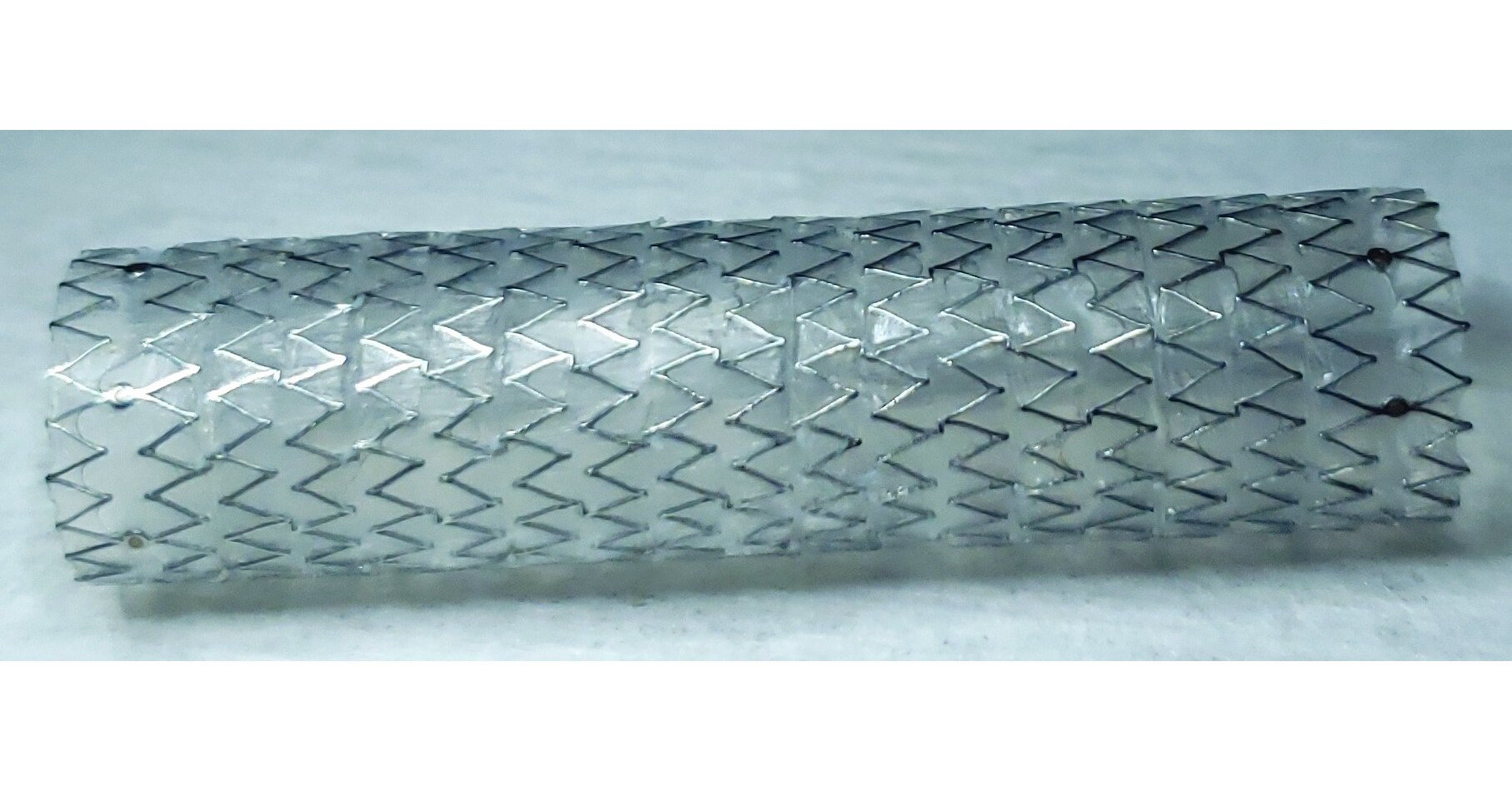 Peytant Solutions, Inc. Granted FDA De Novo for AMStent ...