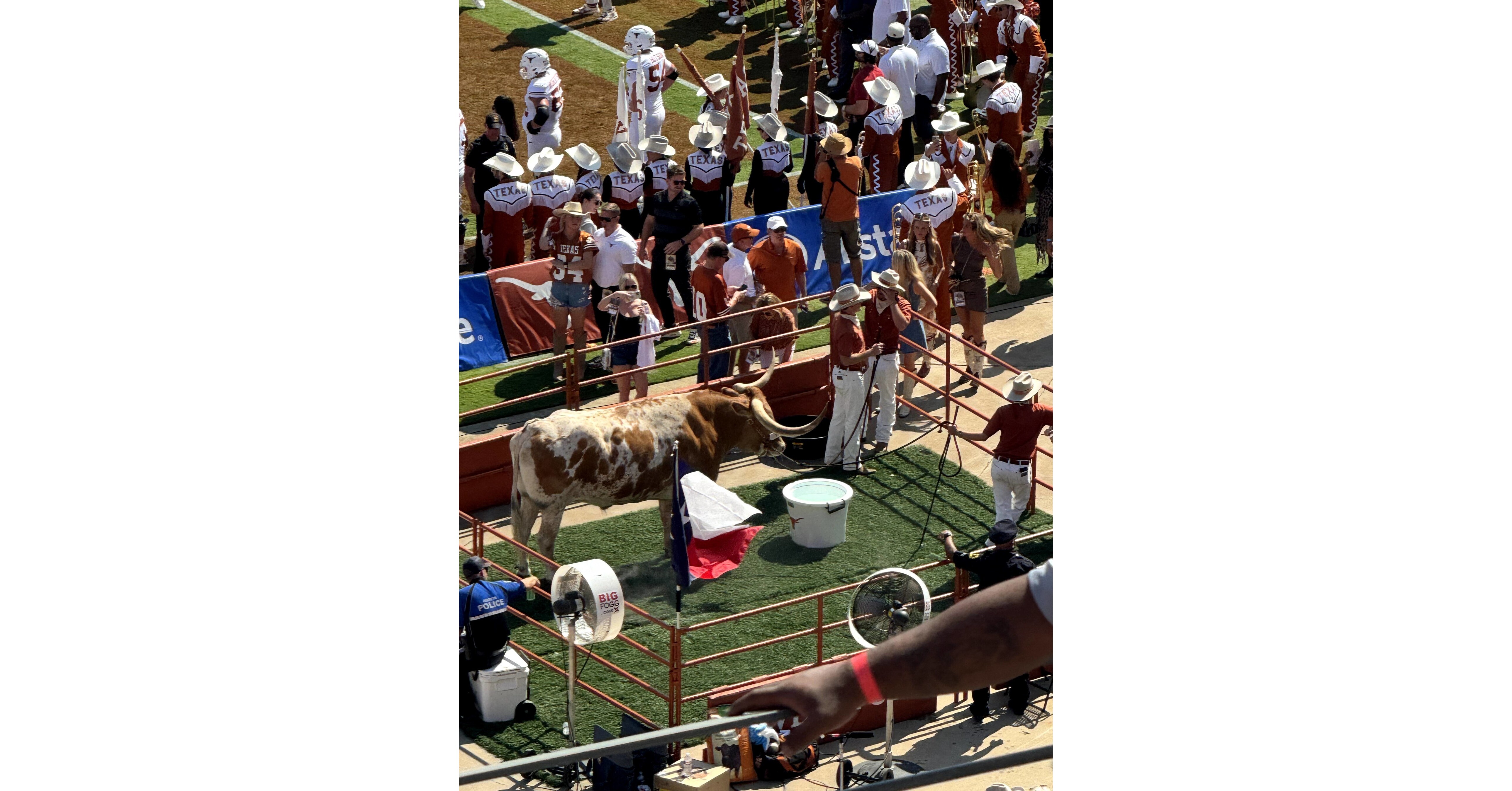 Big Fogg Keeps College Players Cool with Innovative Cooling Benches and ...