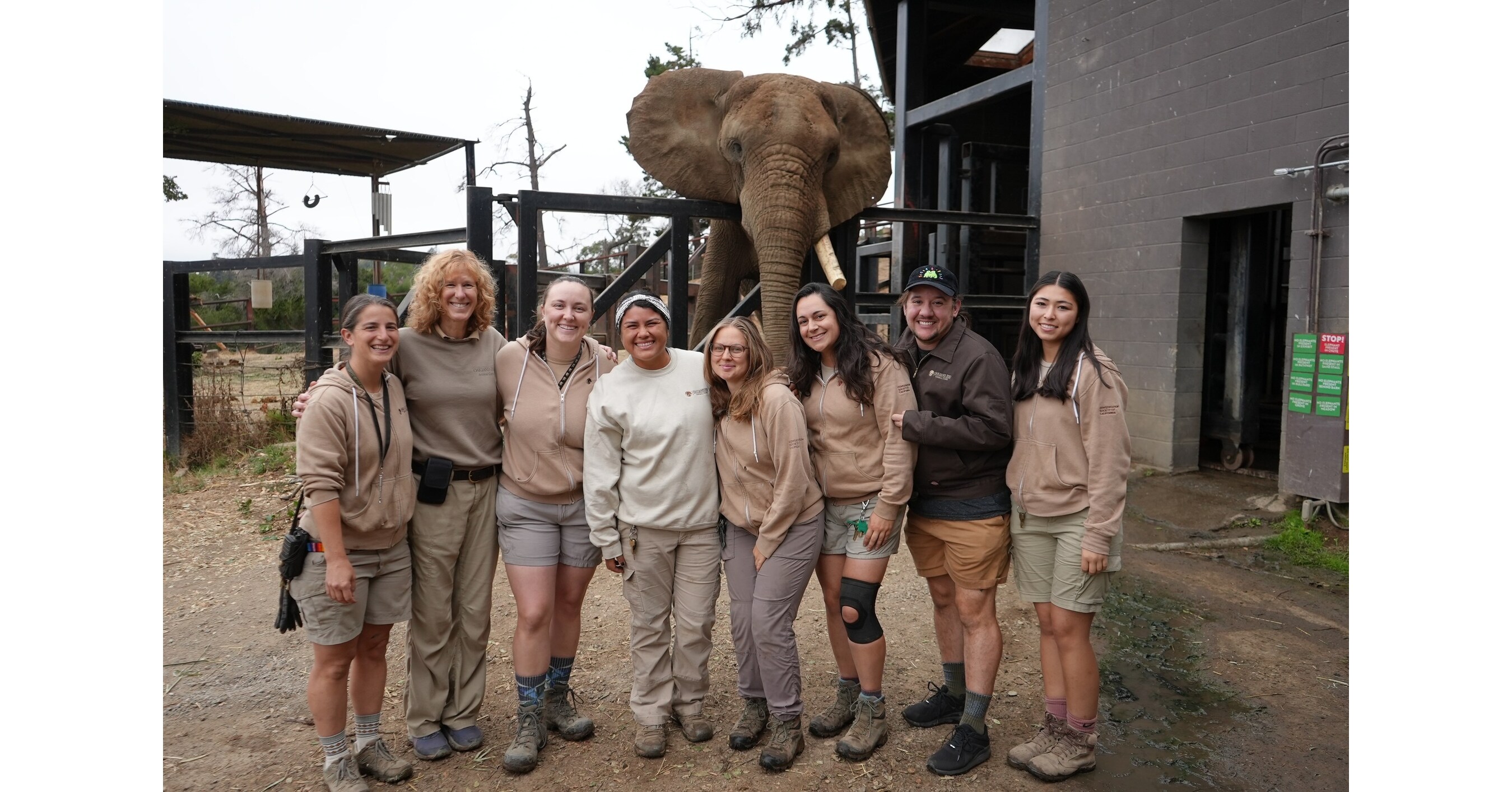 Oakland Zoo's Last African Male Elephant, Osh, Moves to New Home at The ...