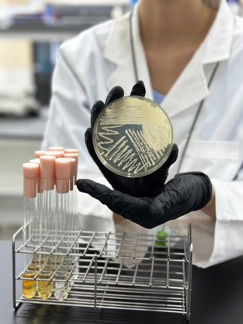 Pureture Achieves Breakthrough in Plant-Based Protein : Redefining ...