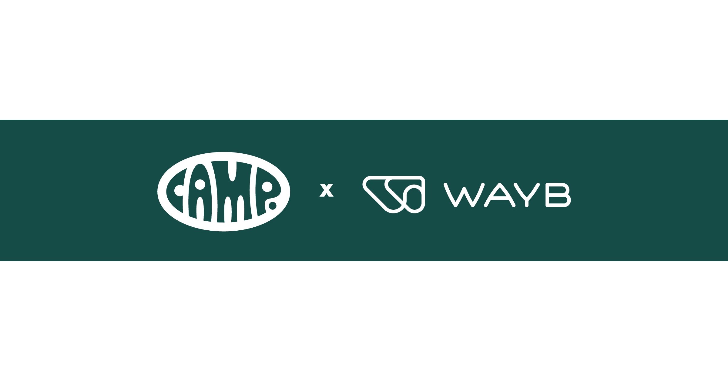 WAYB Partners with CAMP, The Family Experience Company, for Nationwide ...