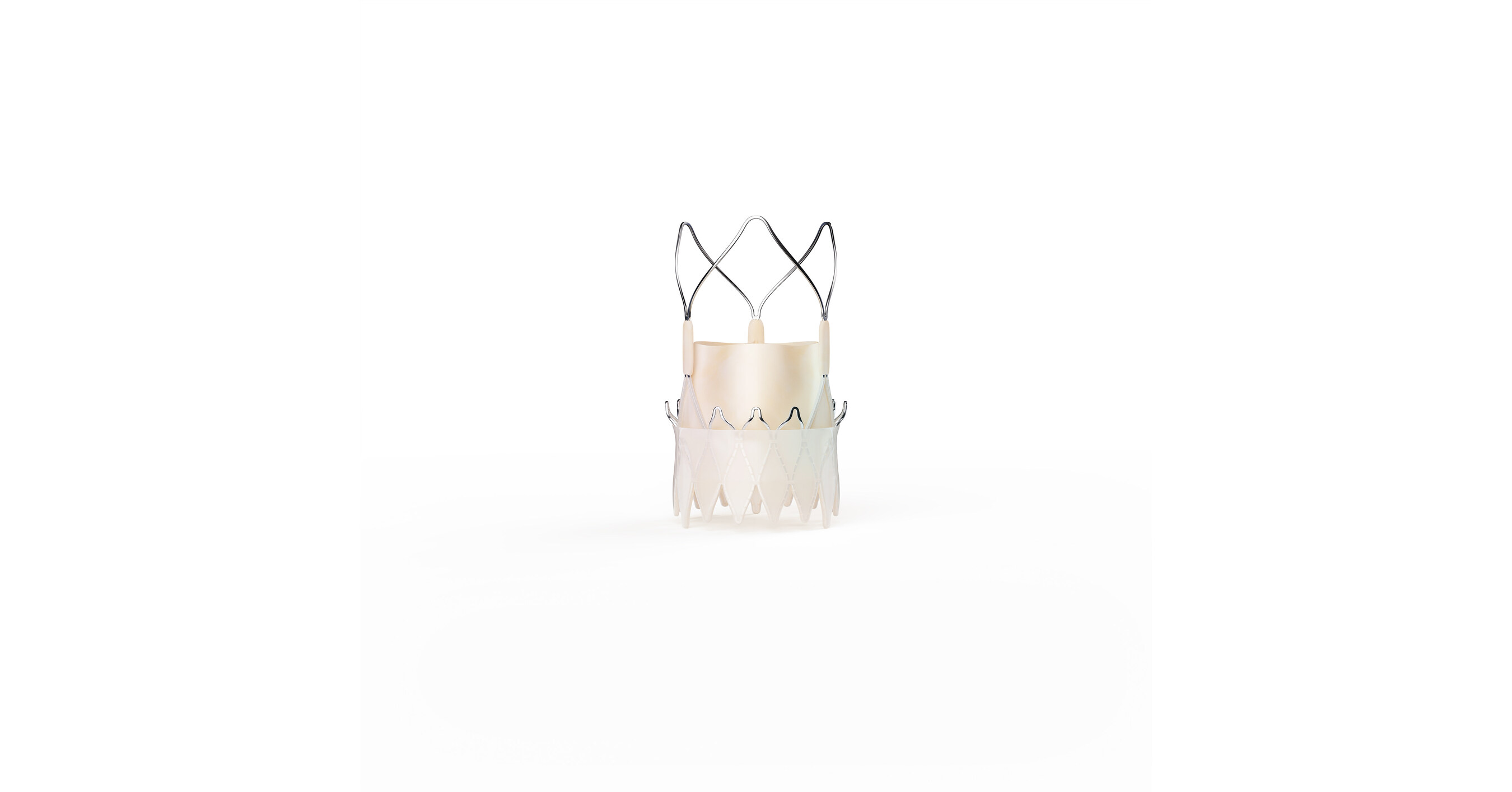 ACURATE neo2™ Aortic Valve System Data Presented at Late-Breaking ...