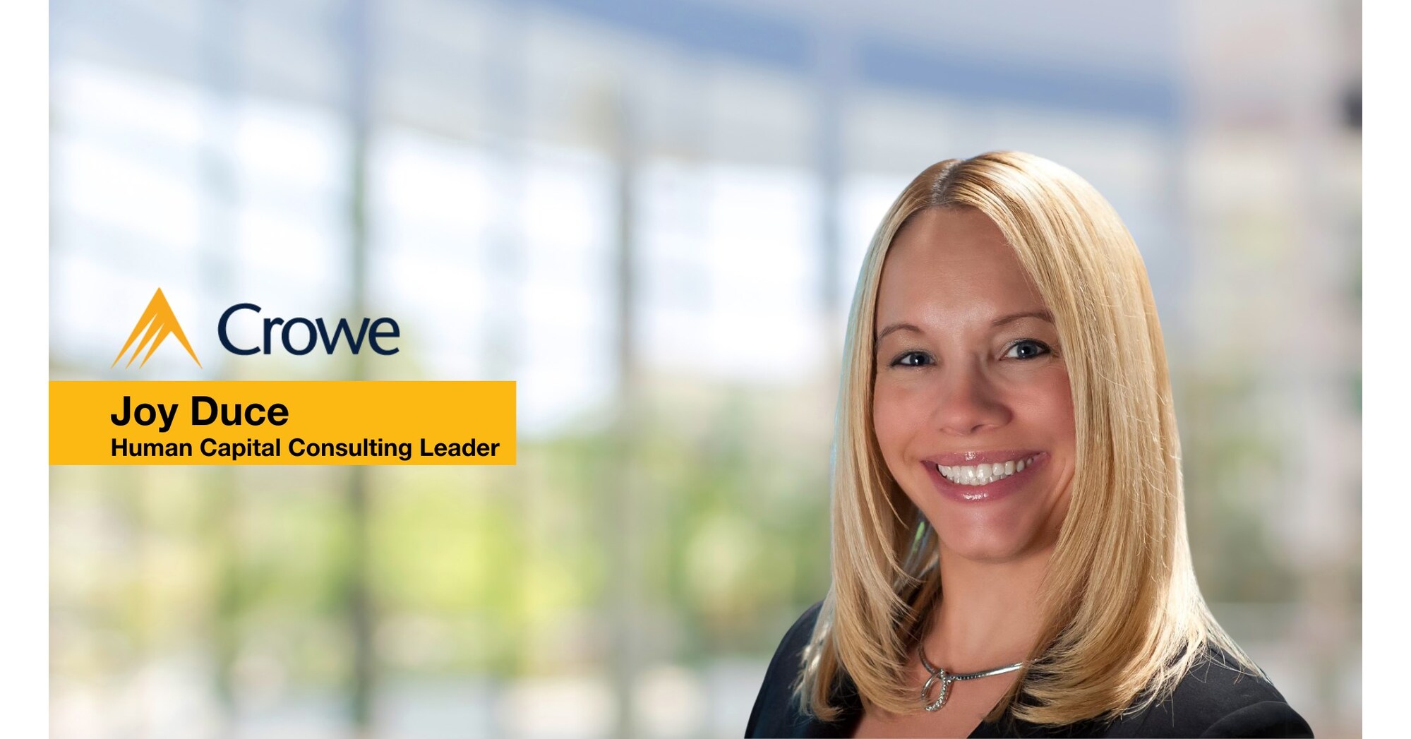 Crowe LLP launches human capital consulting practice and hires industry ...