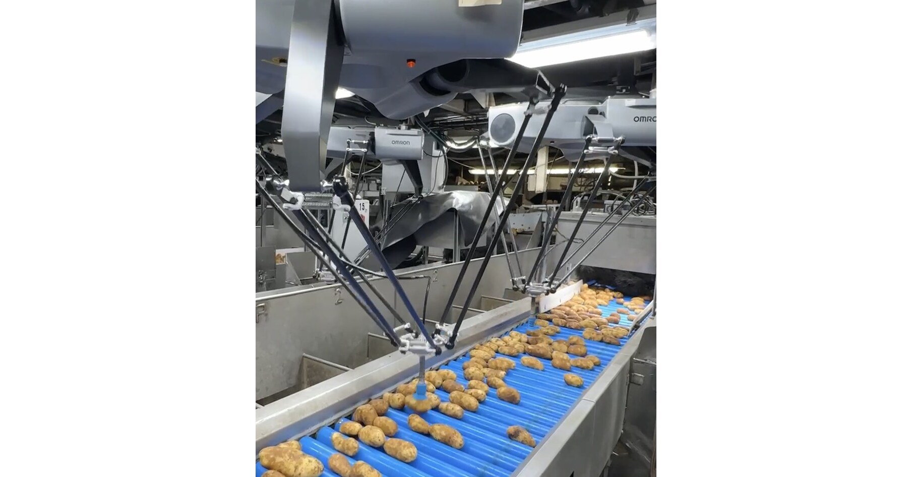 AI-Based Robotic Potato Sorter Improves Product Grading and Slashes Costs