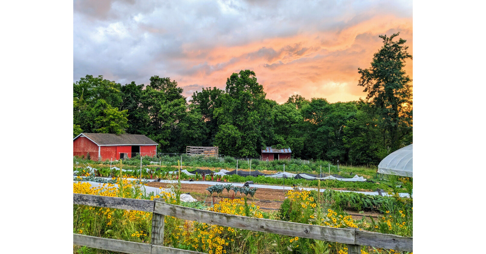 Frederick Health Partners with Local Farm on Healthy Foods Program