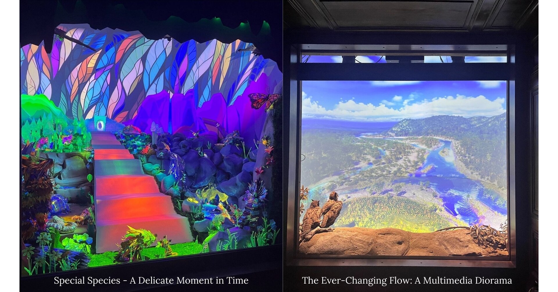 Artists Push Diorama Boundaries with Unique Blend of Art and Science at ...