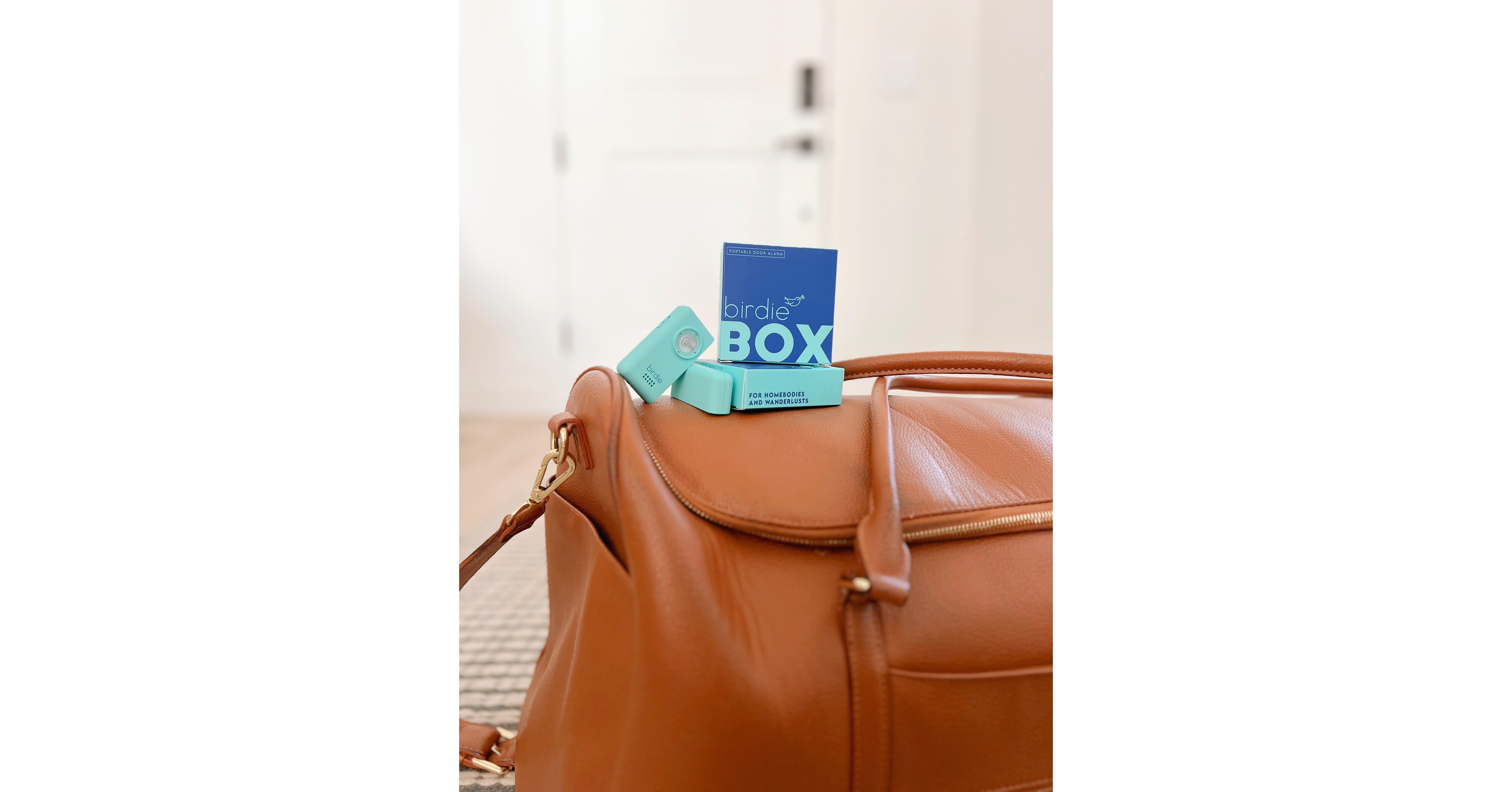 Introducing Birdie Box: A Portable Door Alarm Designed for Hotel Travel