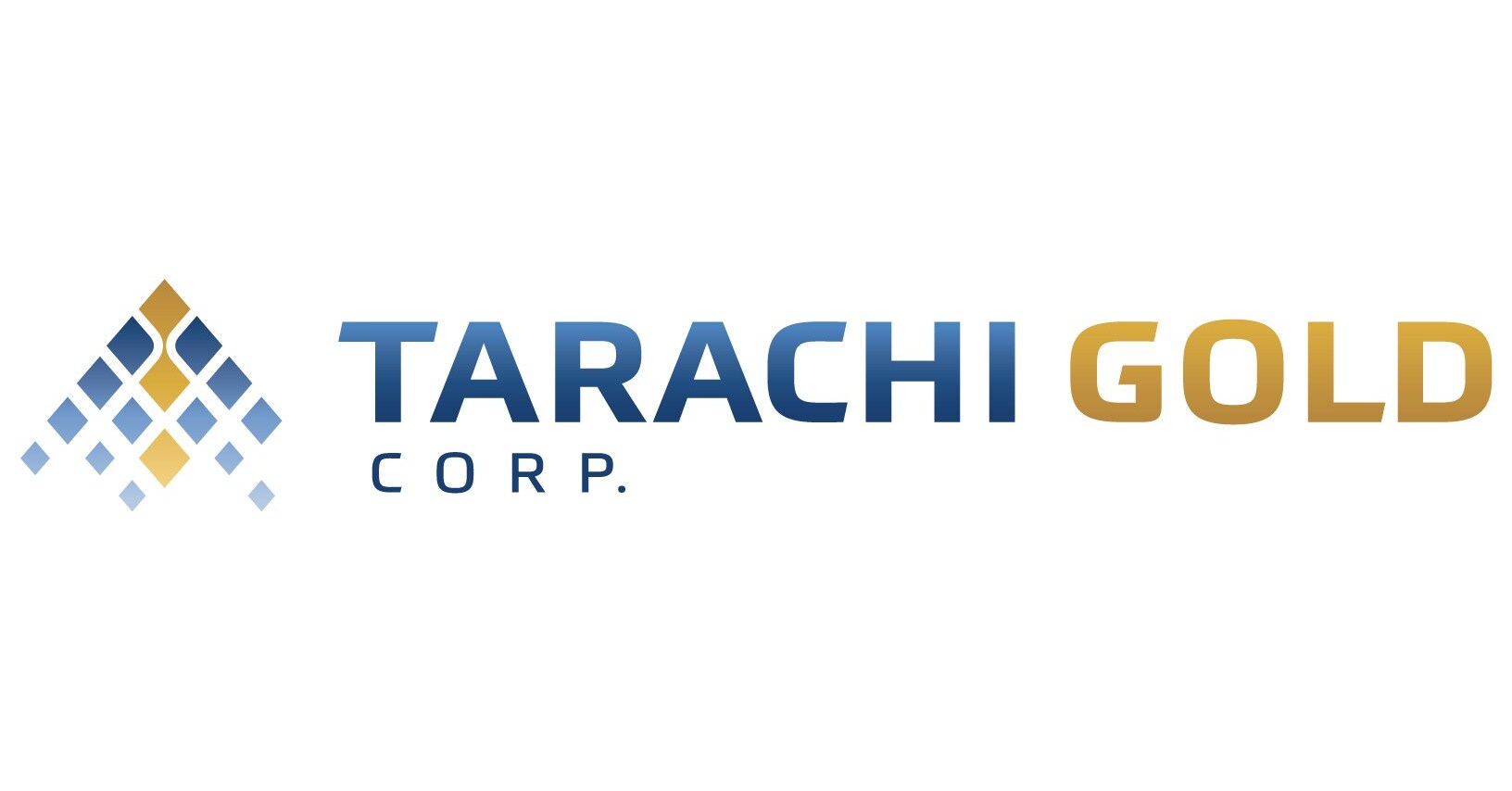 TARACHI AND PROSPECTOR PORTAL DECIDE NOT TO PURSUE TRANSACTION; TARACHI ...