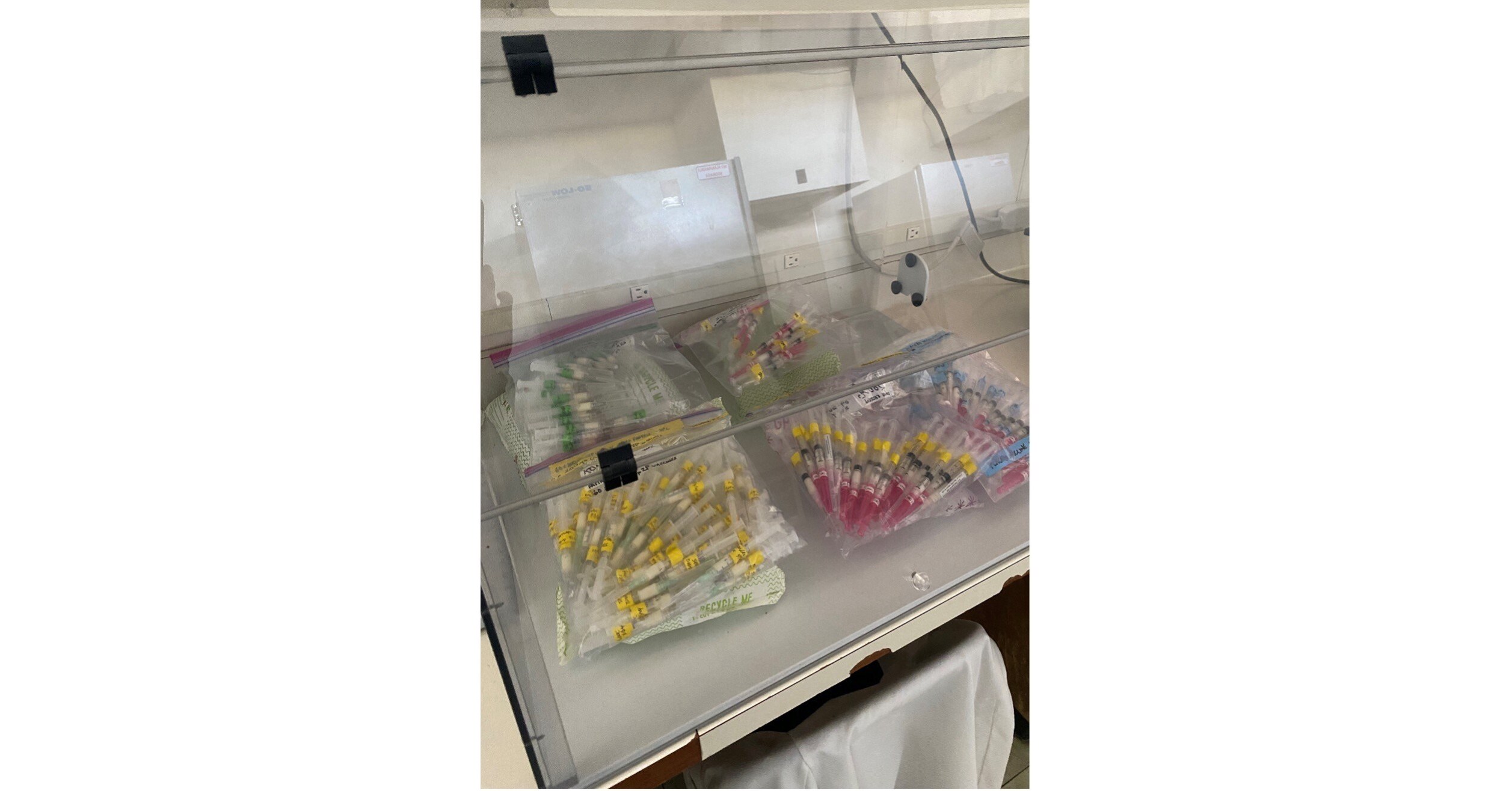 BIOVAXYS PARTNER SPAYVAC FOR WILDLIFE, INC., SCALES-UP VACCINE ...