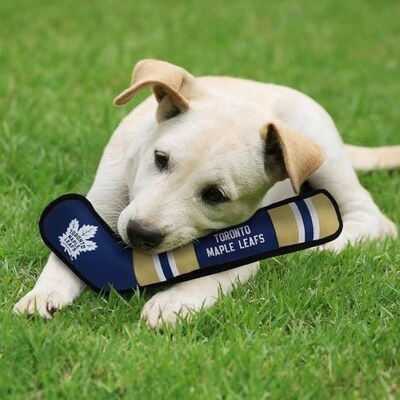 Toronto Maple Leafs and Chewy Unleash Multi-Year Partnership