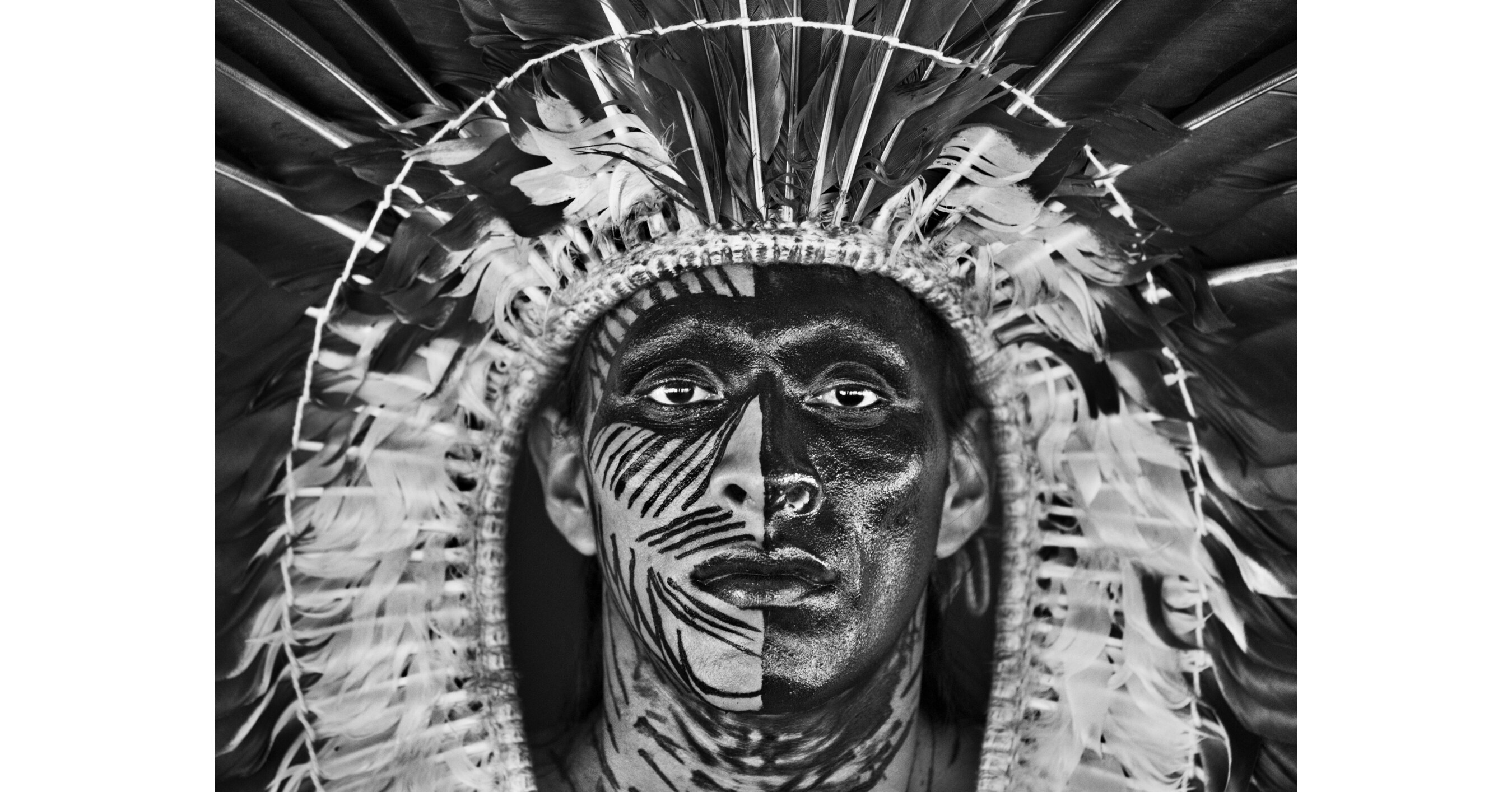 Witness the majesty of the Amazon rainforest through the lens of world ...