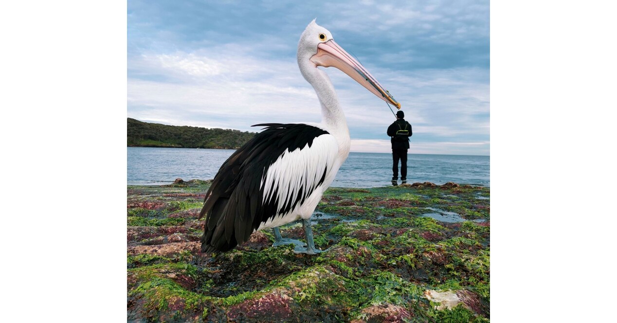 HUAWEI XMAGE Awards 2024: Berbagai Kisah tentang Dunia yang Penuh Kehangatan, Diabadikan Lewat ...