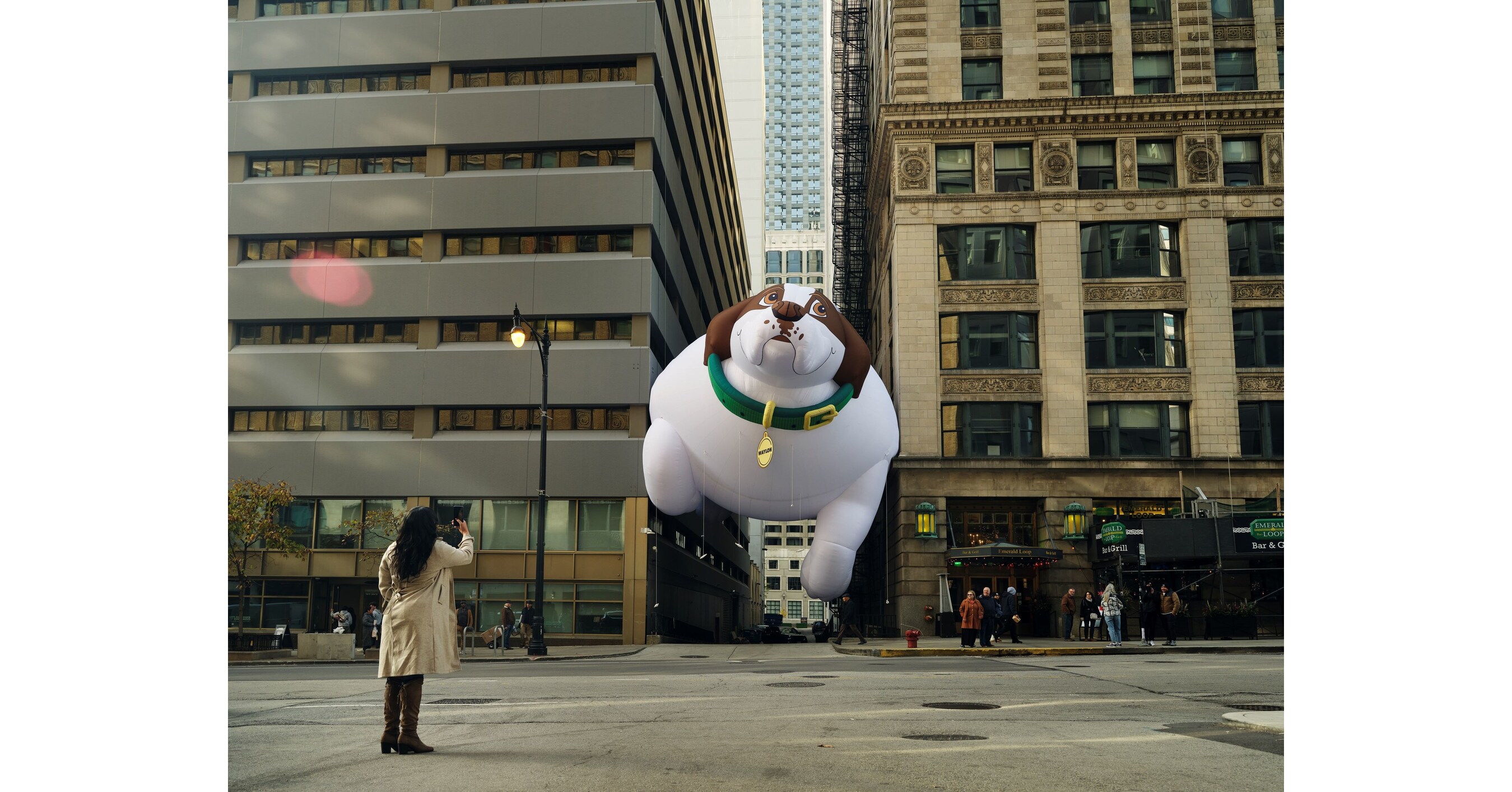 IAMS™ Brand Gets Oversized Dog Balloon Stuck - On Purpose - En Route to ...