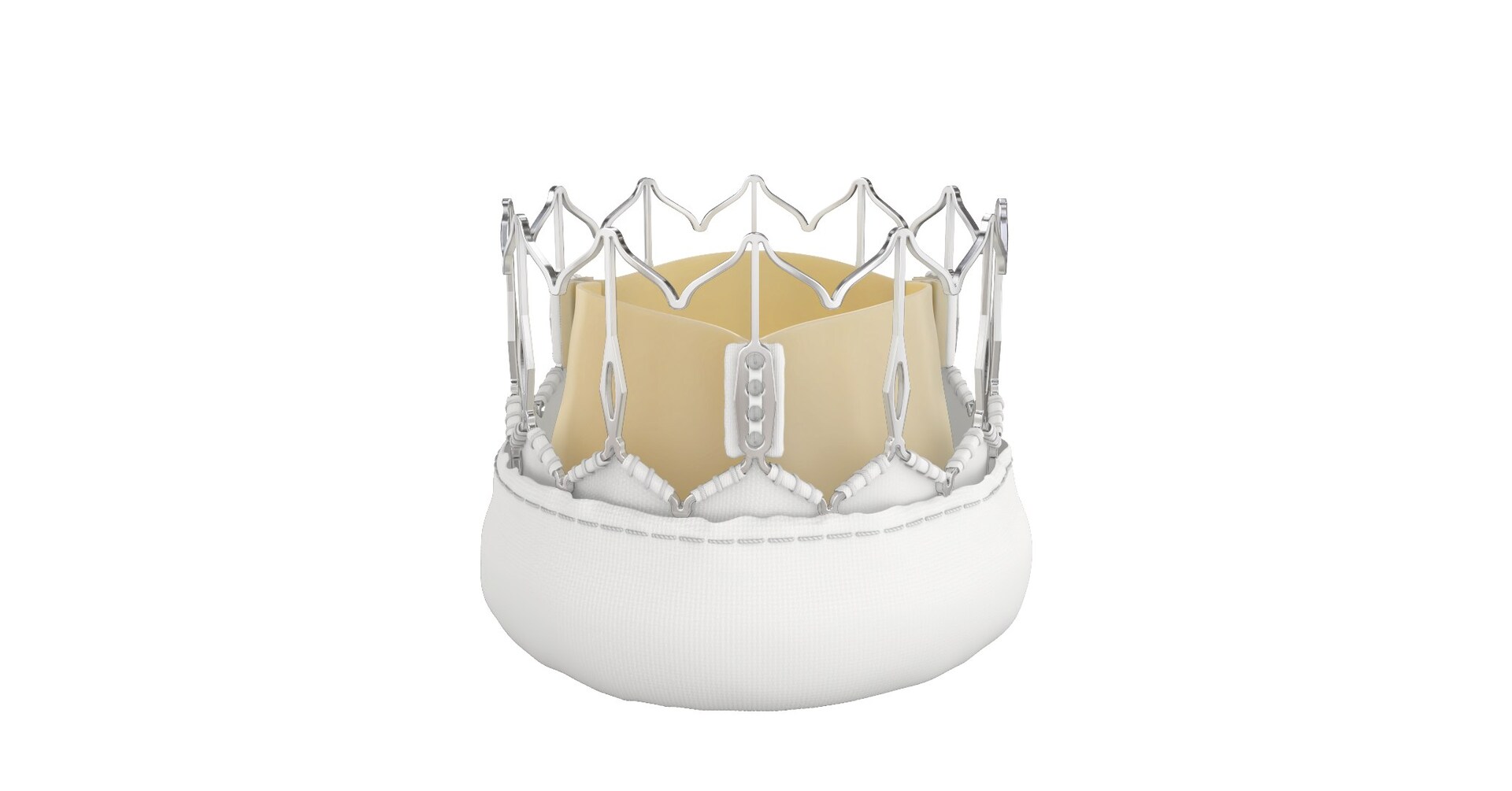 India shines at London Valves 2024: Meril's groundbreaking leap in ...