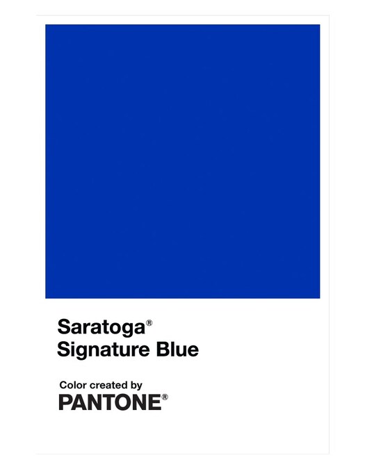 Blue Pantone Colors Pantone Color Of The Year