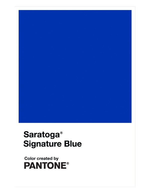 THE DISTINCT COBALT BLUE OF SARATOGA® SPRING WATER NOW HAS AN OFFICIAL ...