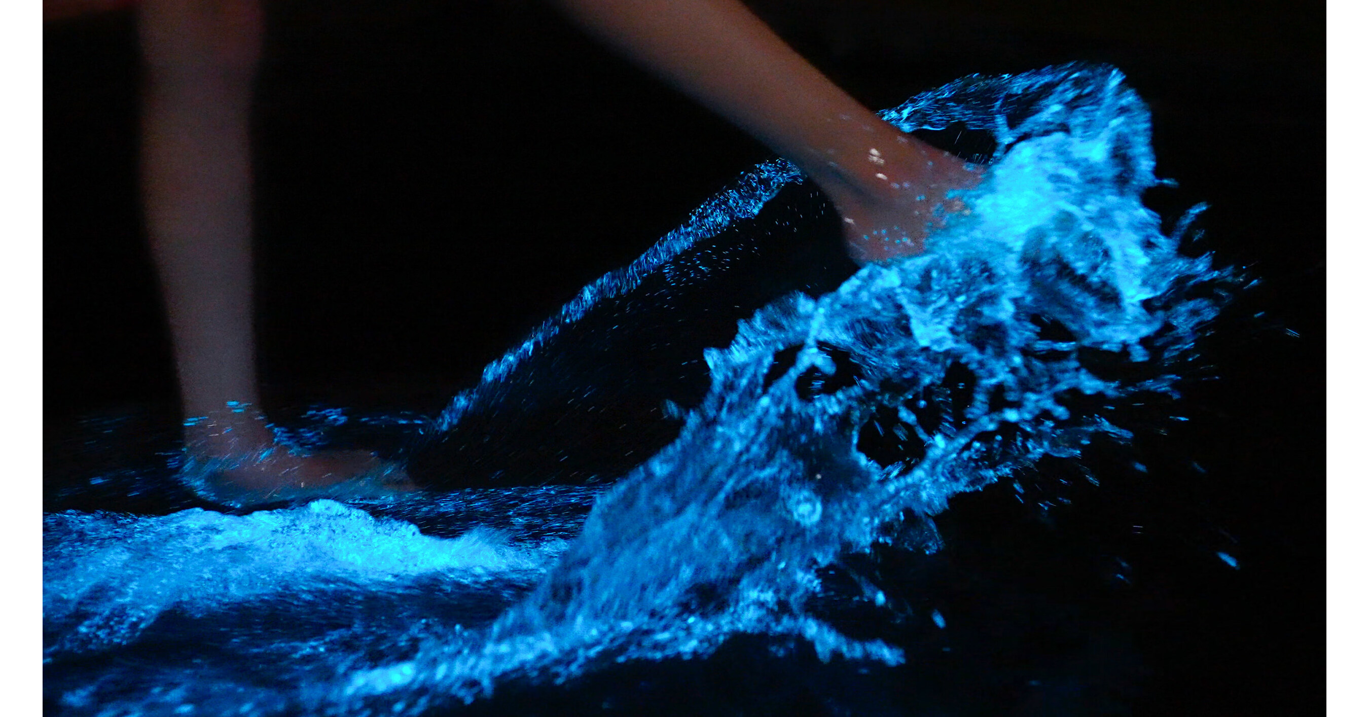 Glowing Oceans Unveils a Dazzling Indoor Bioluminescent Experience
