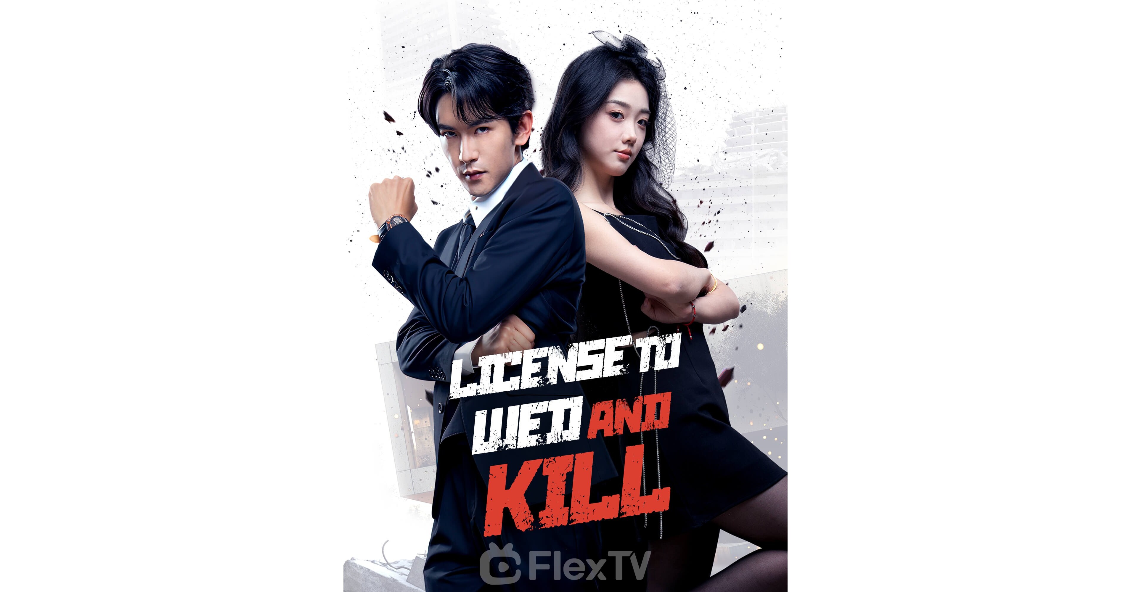 Mega Matrix Announced that Action-Packed Revenge Drama "License to Wed ...