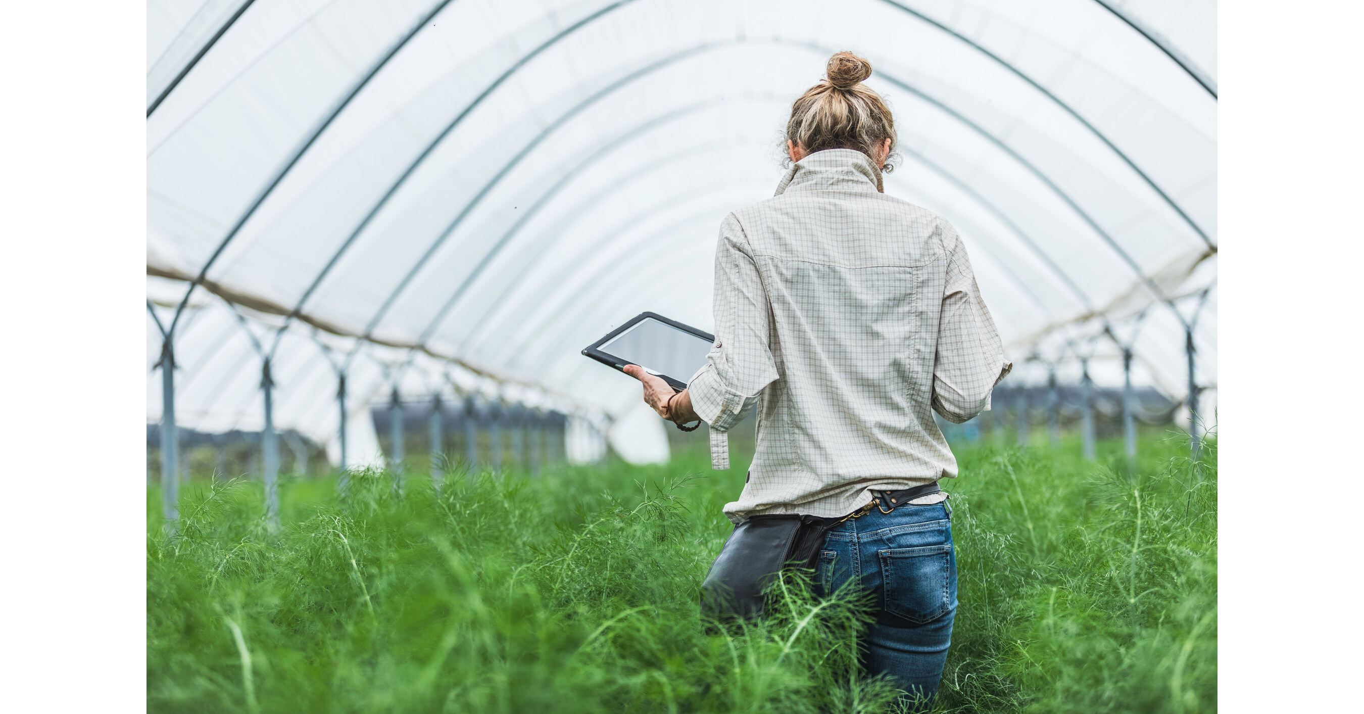 Sopra Steria Strengthens its Environmental Commitment by Financing Two ...