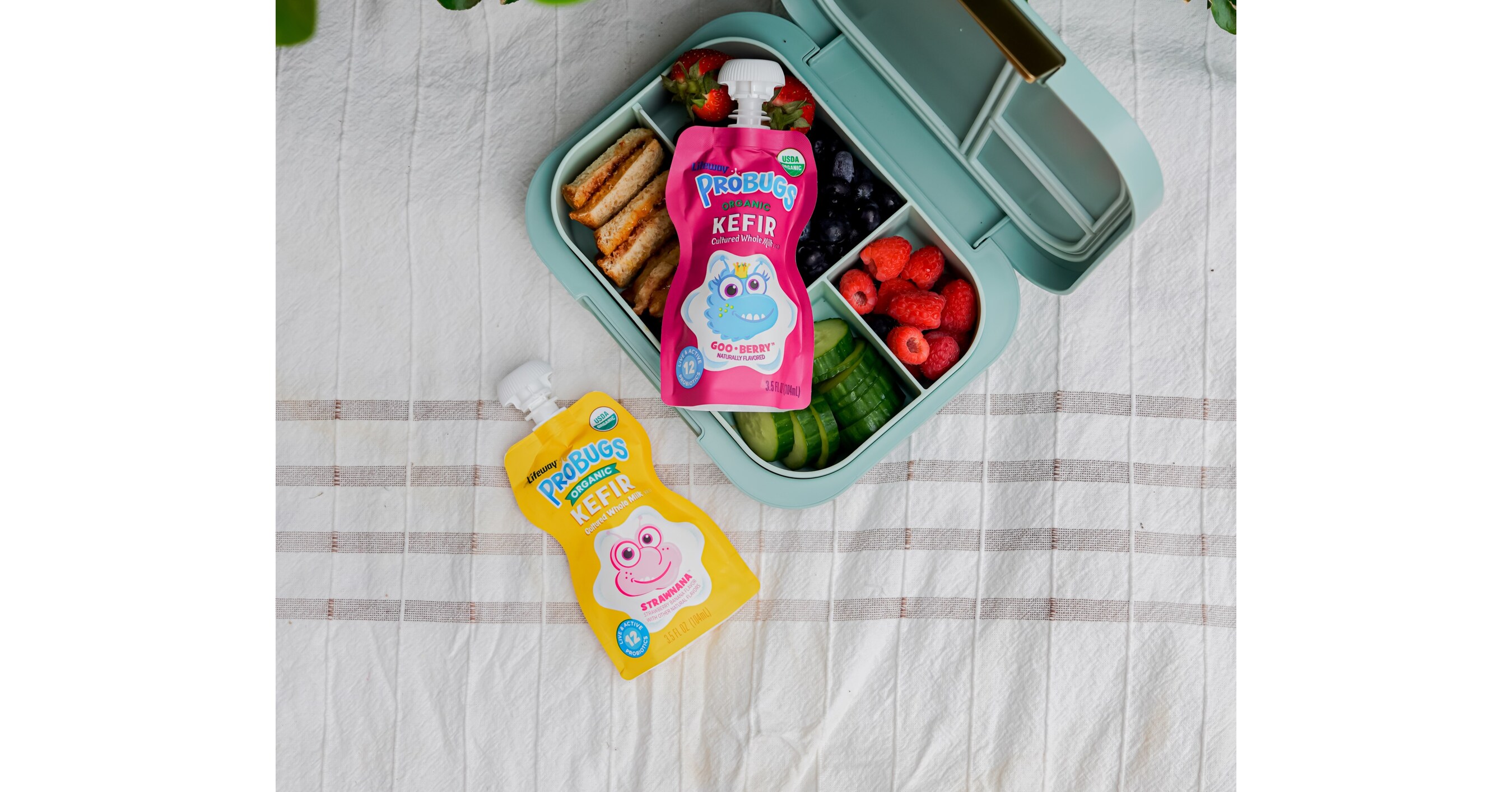 Lifeway Foods Announces New ProBugs Organic Kefir Distribution in More ...