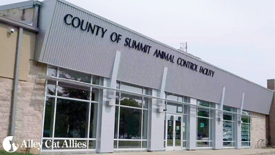 Alley Cat Allies Files Lawsuit To Stop the Illegal Killing of Cats in ...