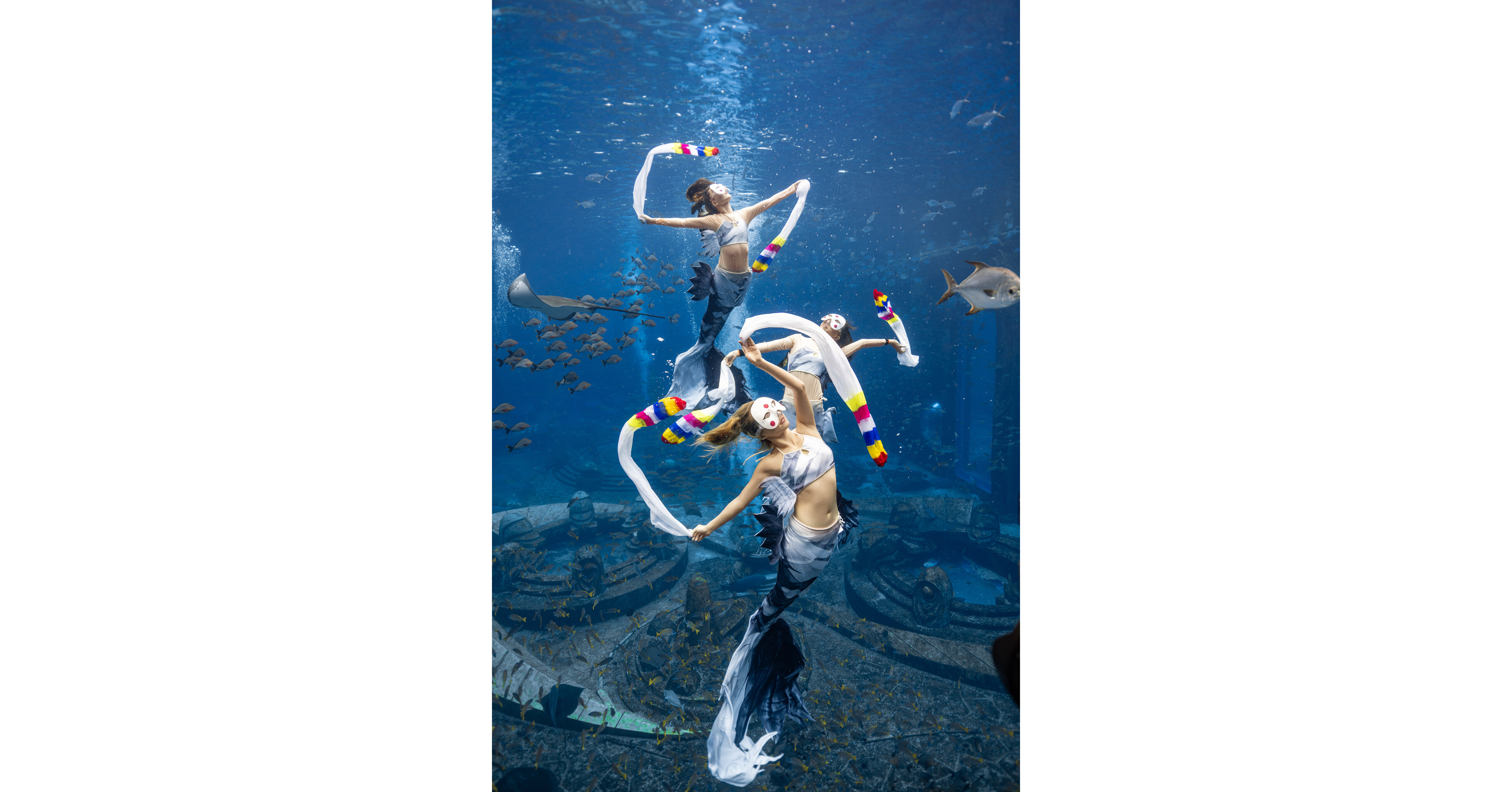 2024 China Mermaid Open Grand Final and Asian Cup Kick Off Grandly at ...