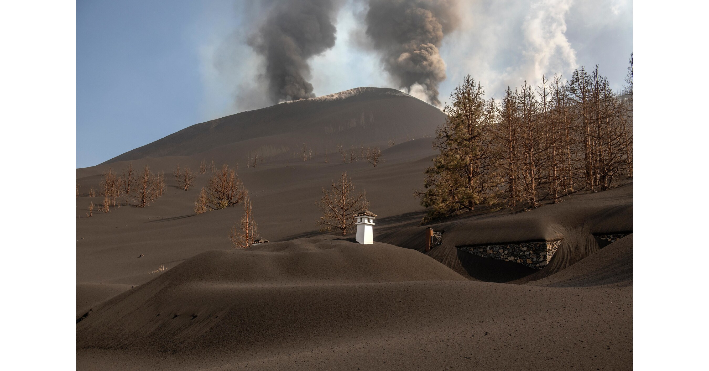 Macaronesian Stories, une campagne émouvante pour reconstruire un rêve ...