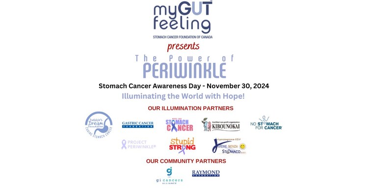Debbie's Dream Foundation Unites Globally in The Power of Periwinkle ...
