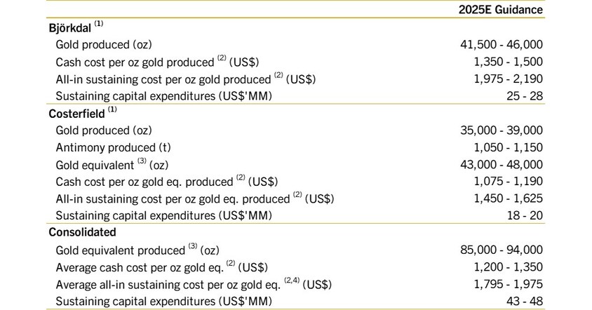 Mandalay Resources Announces 2025 Outlook and Guidance for Gold and ...