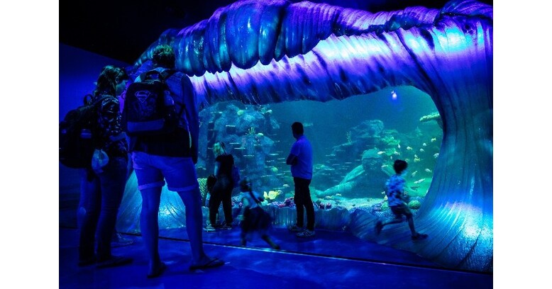 Dive Into SEA LIFE Sydney Aquarium