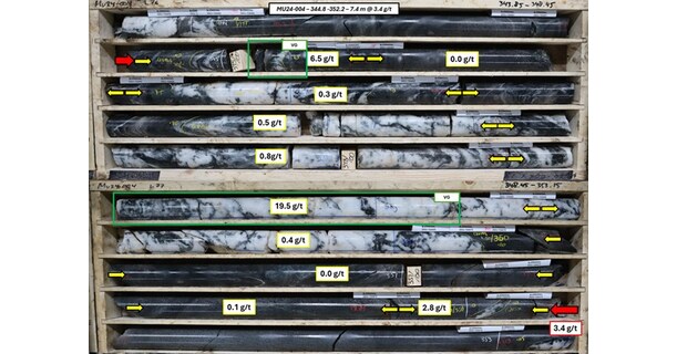 Mandalay Resources Reports Discovery of a New Gold Domain at Björkdal
