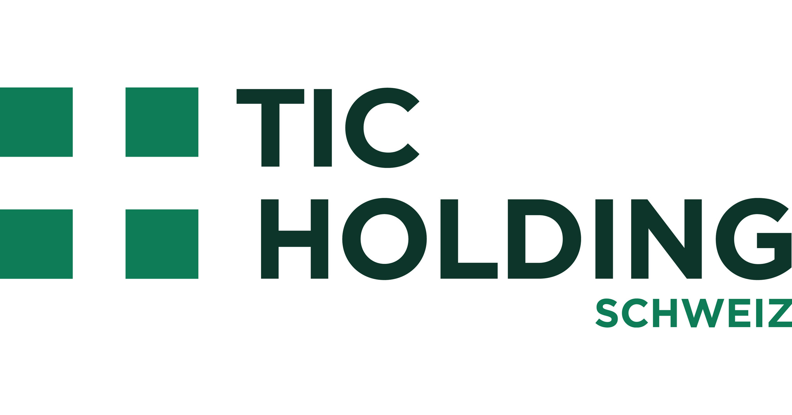 Winterberg Starts New TIC Buy, Build and Technologize Platform in ...