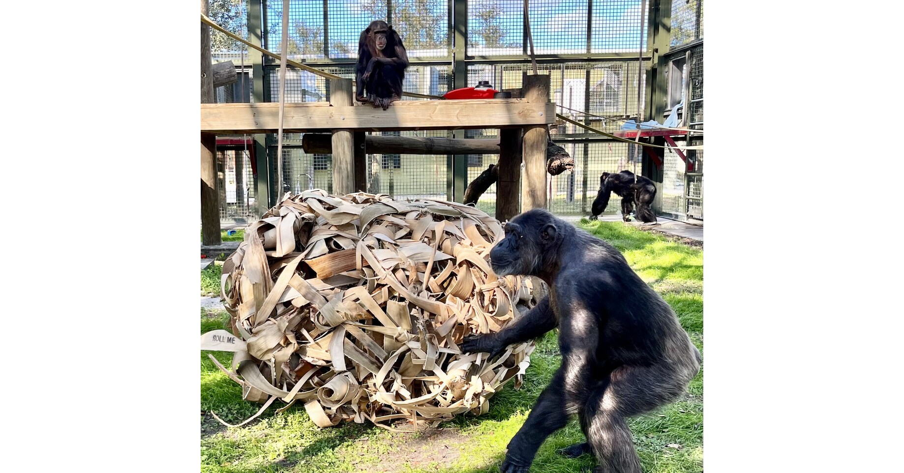 Artist Evan Bobo Gifts Interactive Sculpture "EARTHBALLS" to Center for ...