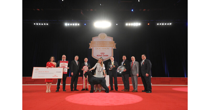 GIANT SCHNAUZER "MONTY" WINS BEST IN SHOW AT 24th AKC® NATIONAL ...