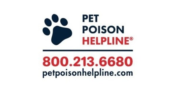 Counter-Surfing Pooch Poisoned by Poultry Seasonings