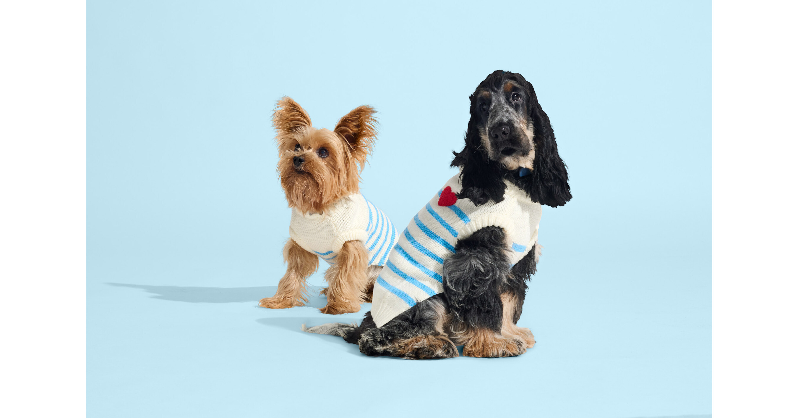 Petco Debuts New On-Trend, Exclusive Collections to Kick off the New Year