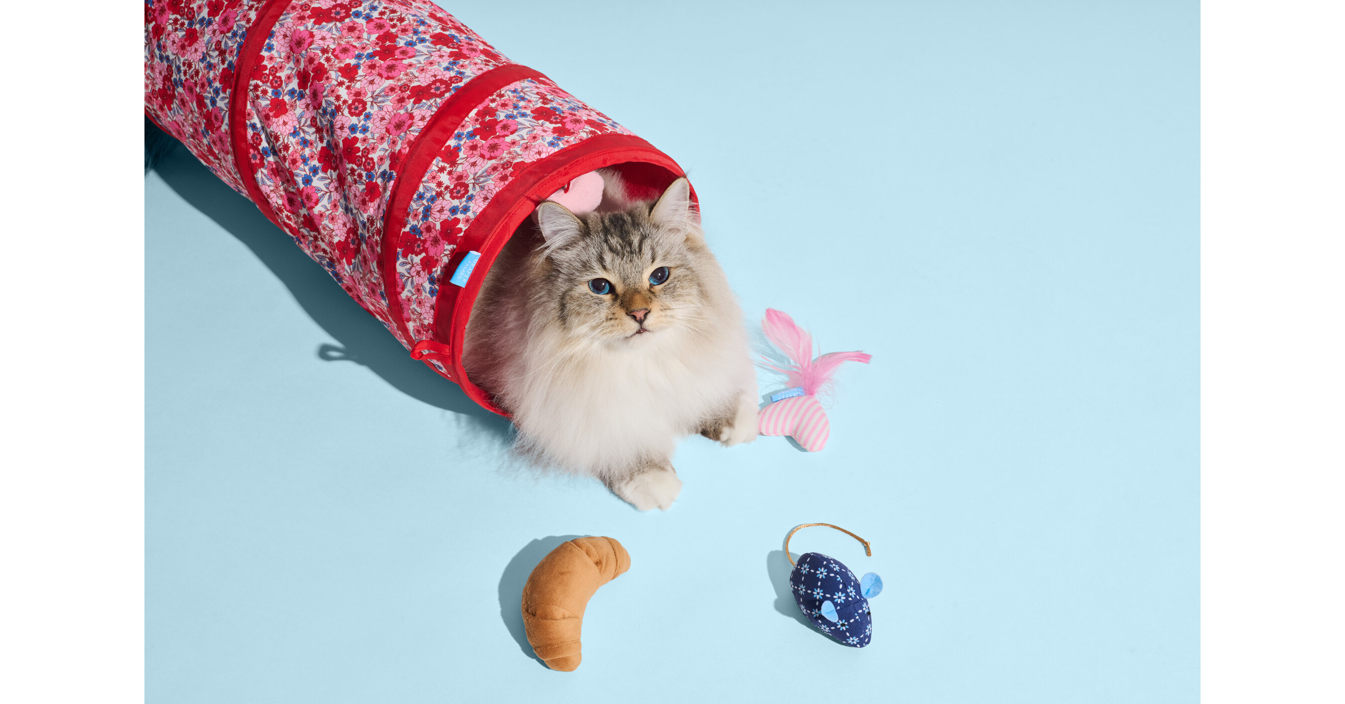 Petco Debuts New On-Trend, Exclusive Collections to Kick off the New Year