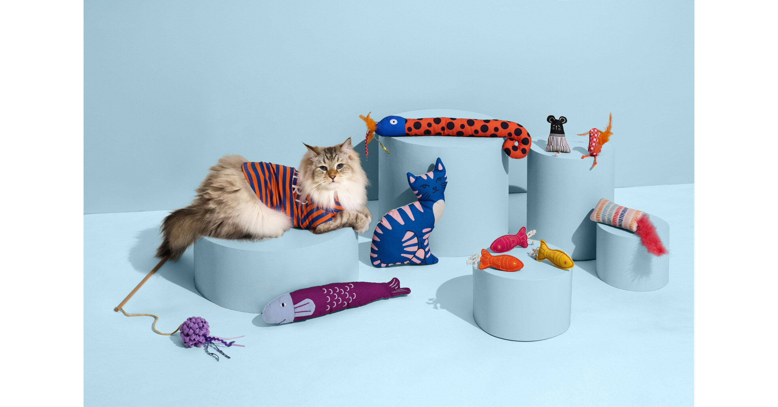 Petco Debuts New On-Trend, Exclusive Collections to Kick off the New Year