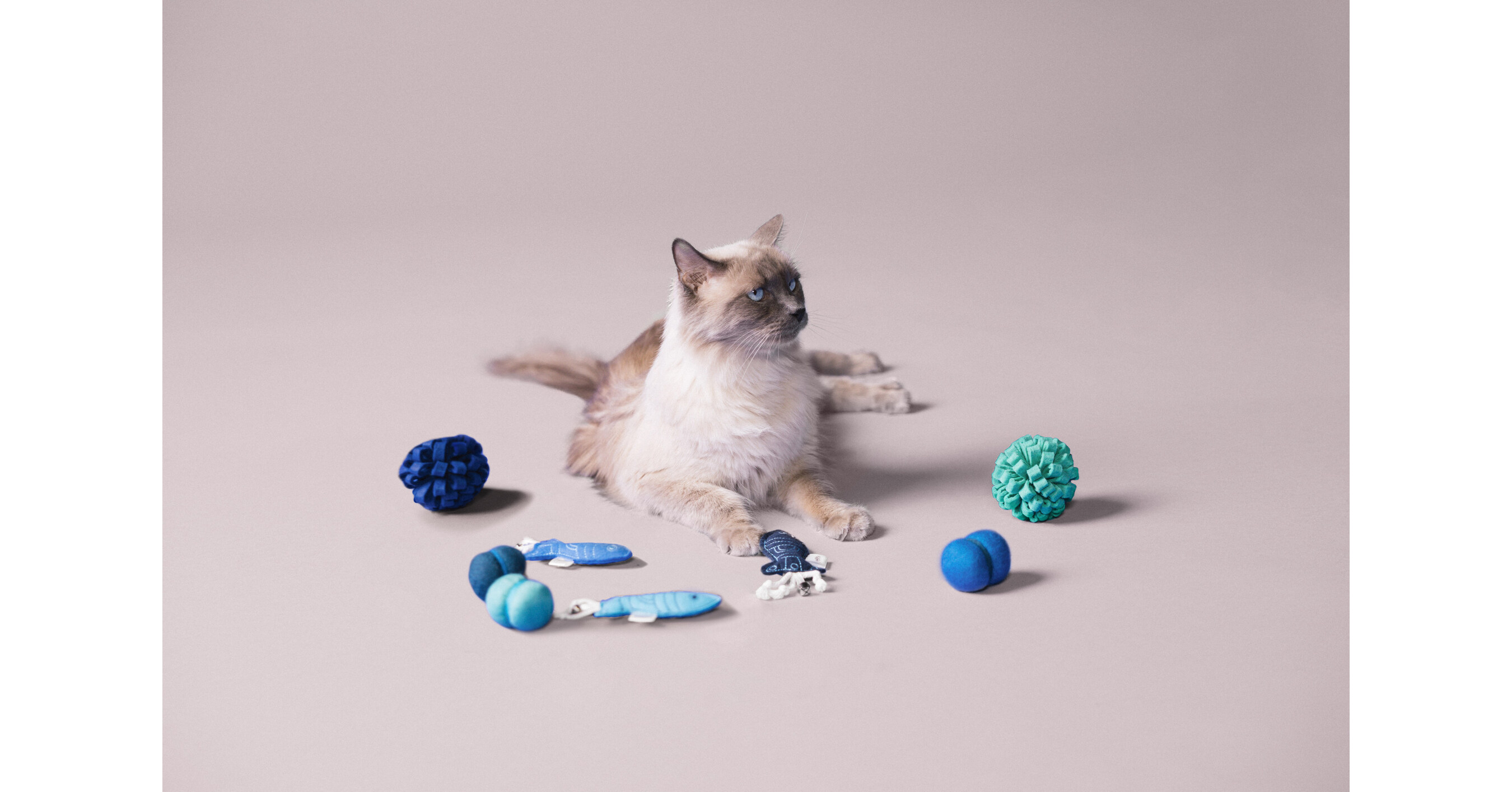 Petco Debuts New On-Trend, Exclusive Collections to Kick off the New Year