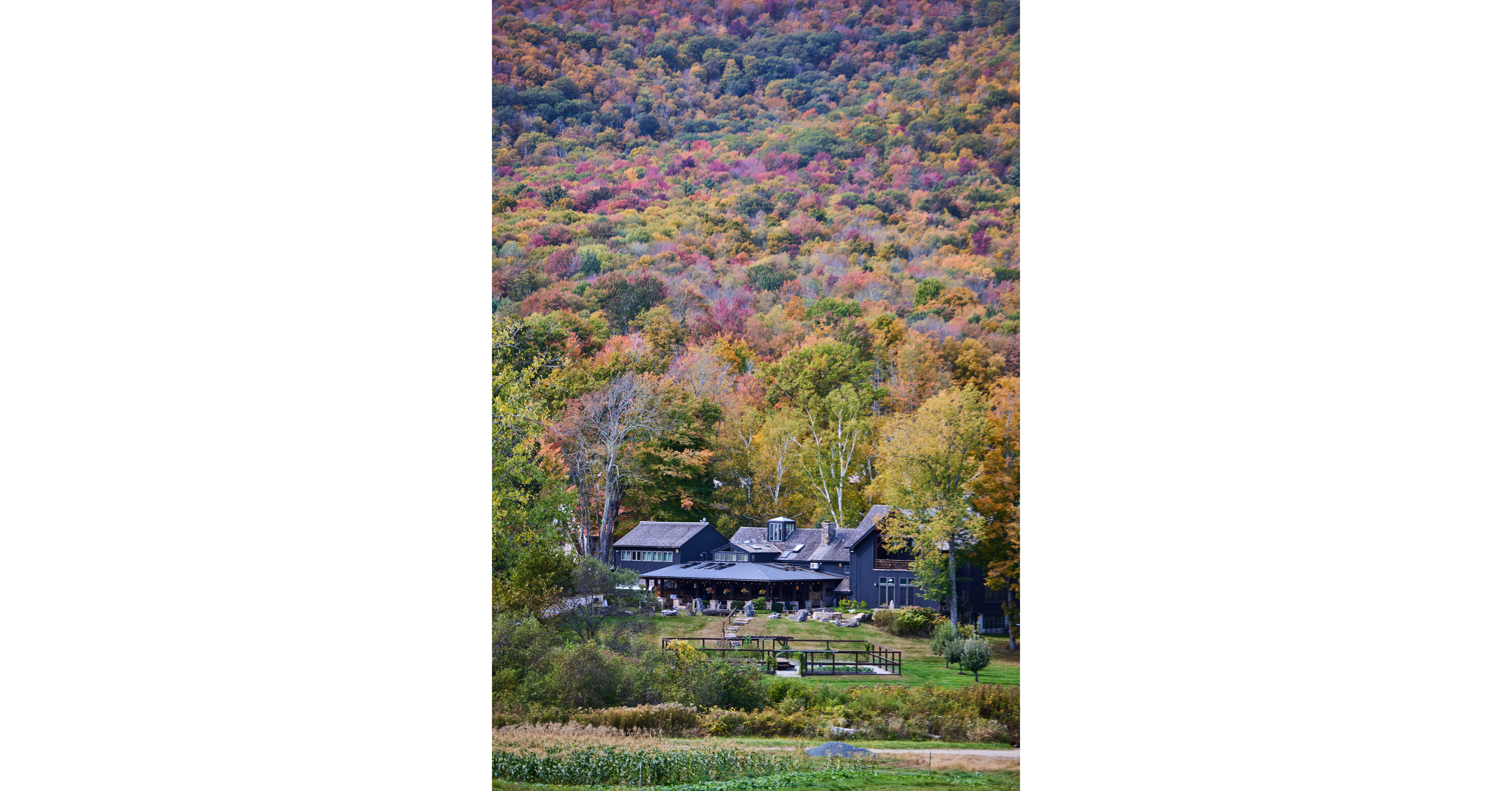 Patten Properties: Paving the Way for Families to Build a Legacy with ...